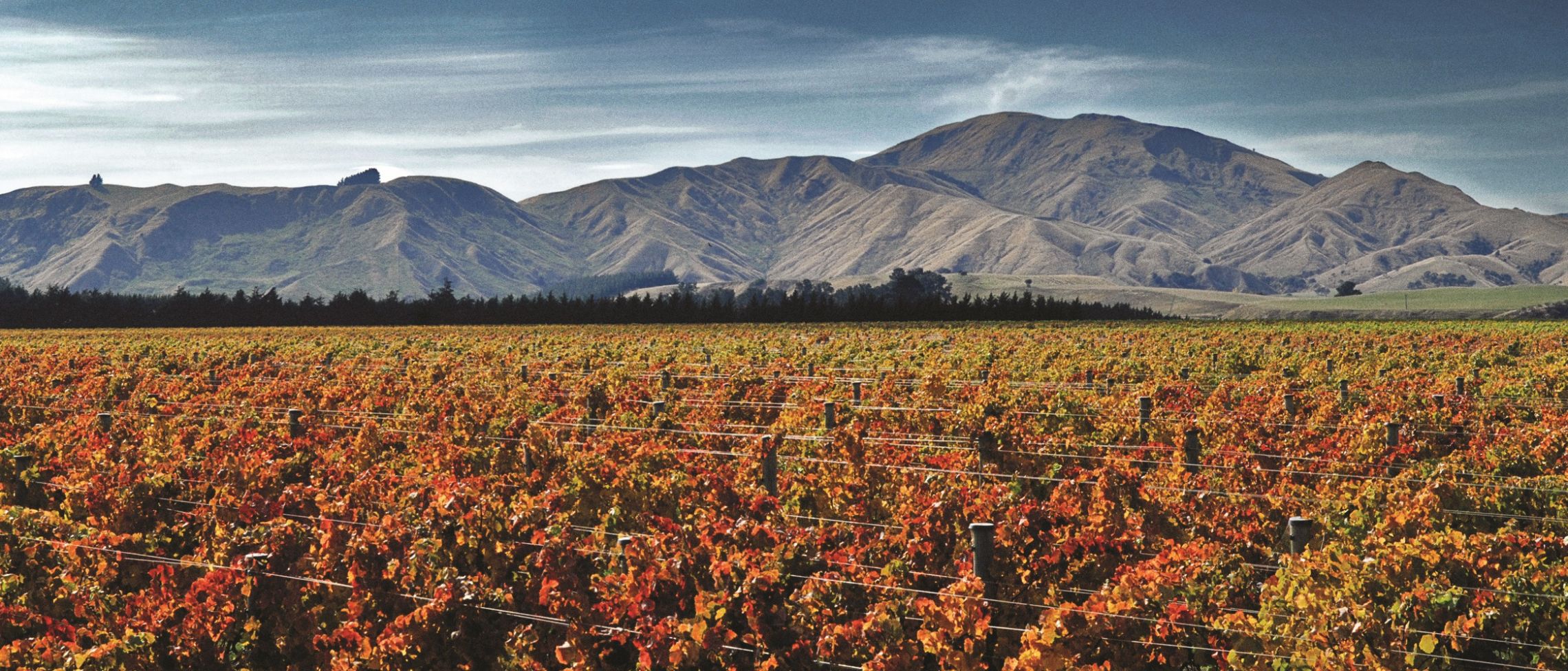 Escarpment, Martinborough, New Zealand - Seckford Agencies