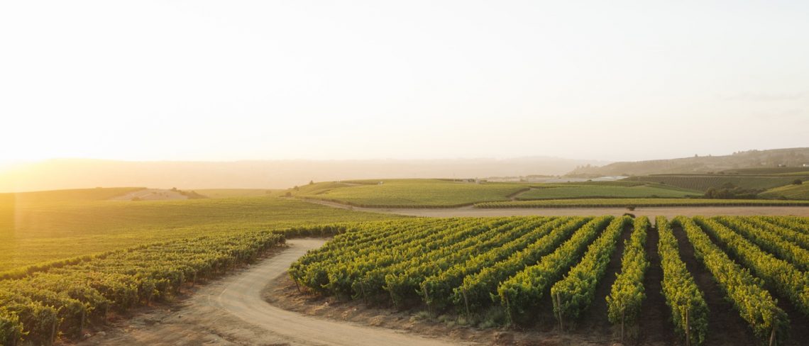 Kalfu by Ventisquero Wine Estates - Seckford Agencies