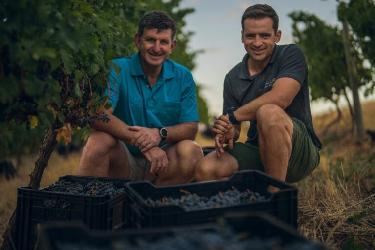 Home - Seckford Agencies, New World Wine Specialists